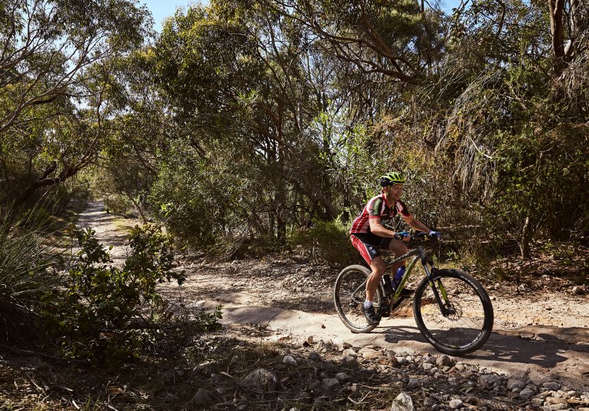 Top 5 Mountain Biking Destinations in Australia for Adventure Seekers